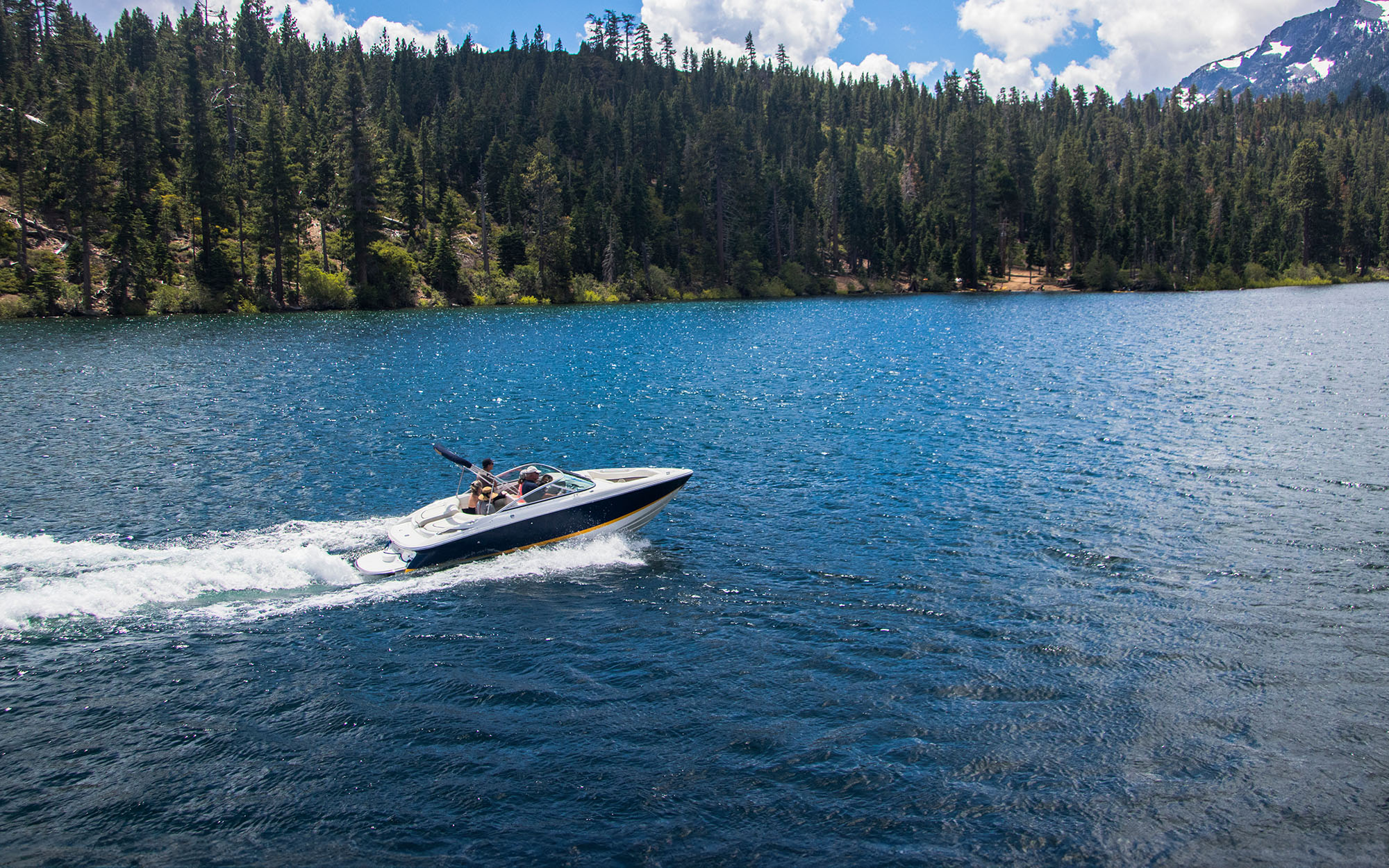 Summer Insurance Tips | NEC Insurance