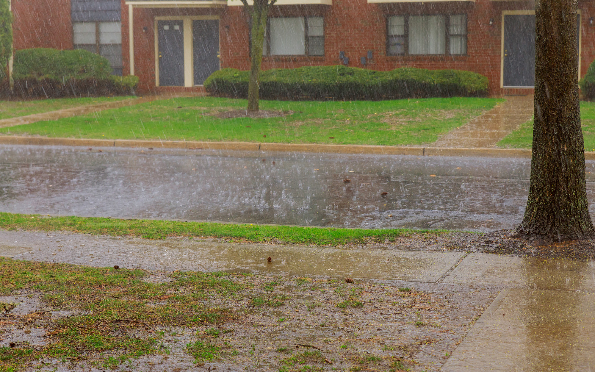 The Importance of Business Flood Insurance In Spring